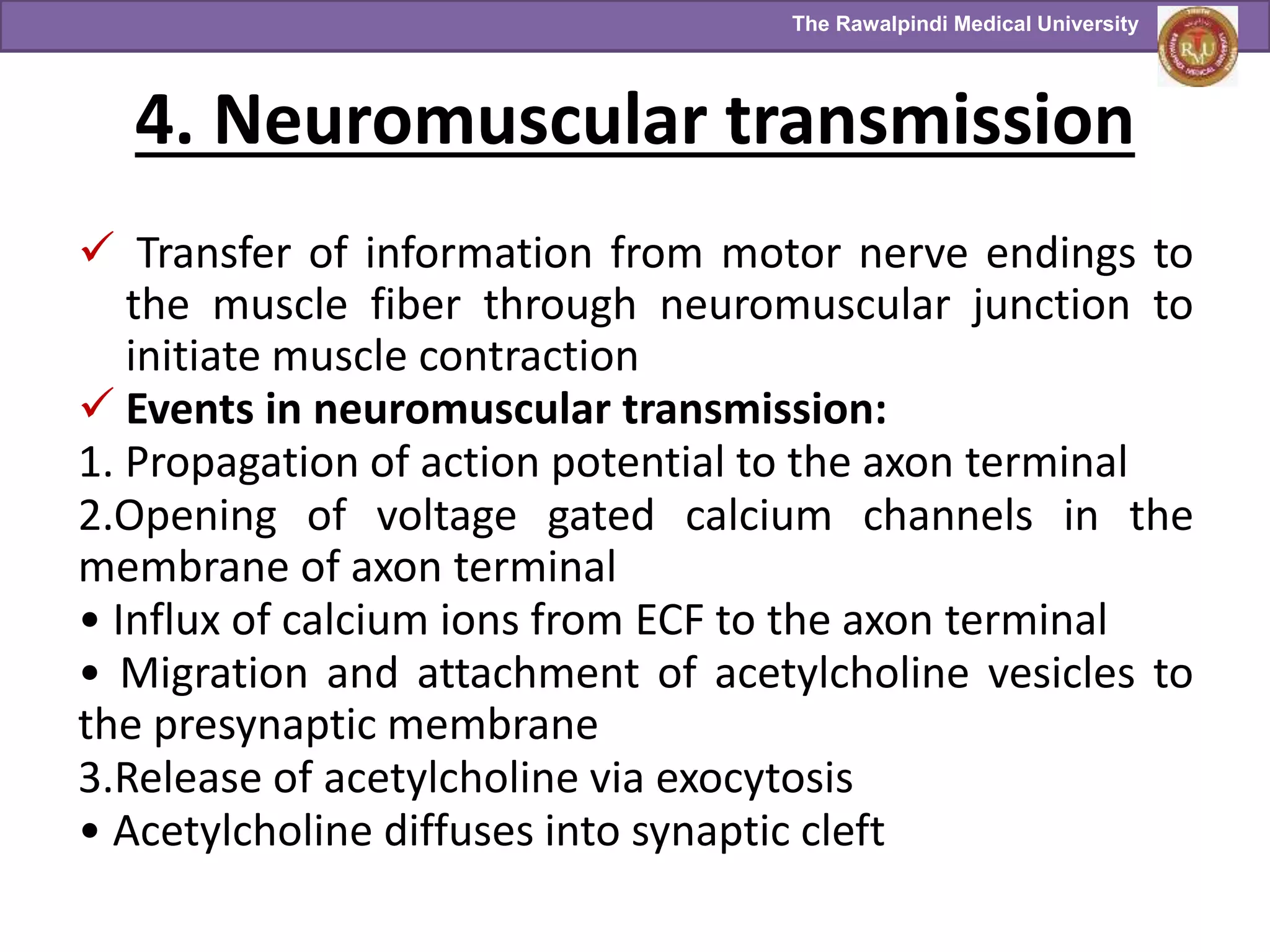 Neuromuscular junction SGD.pptx