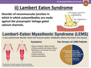 Neuromuscular junction SGD.pptx