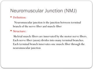 Neuromuscular Junction & transmission + Structure & function.pptx