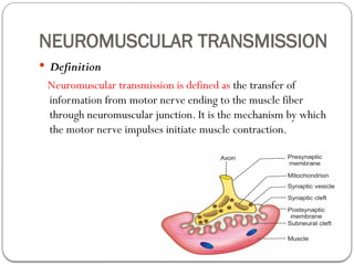 Neuromuscular Junction & transmission + Structure & function.pptx