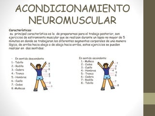 Ejercicios De Acondicionamiento Muscular
