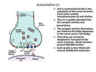 Neuromuscular physiology | PPTX