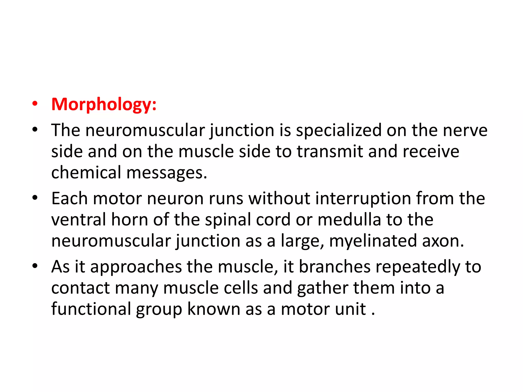 Neuromuscular physiology | PPTX