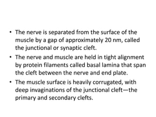 Neuromuscular physiology | PPTX