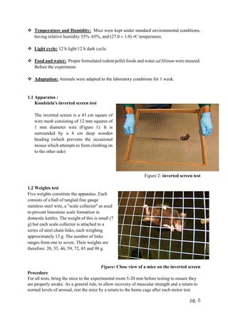Neuromuscular strength induced in mice (swiss albino) | PDF