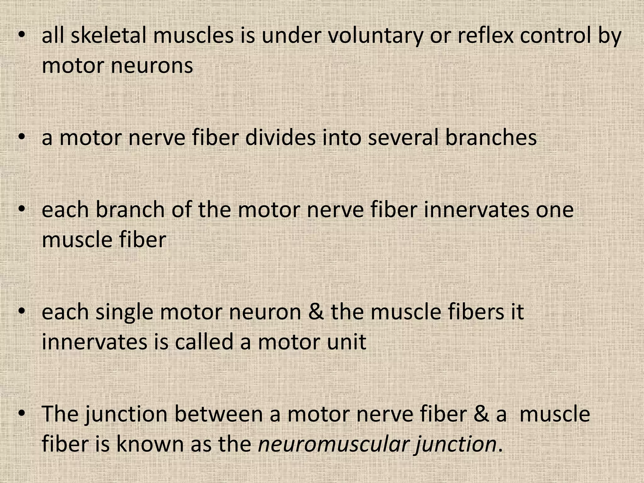 Neuromuscular transmission | PDF