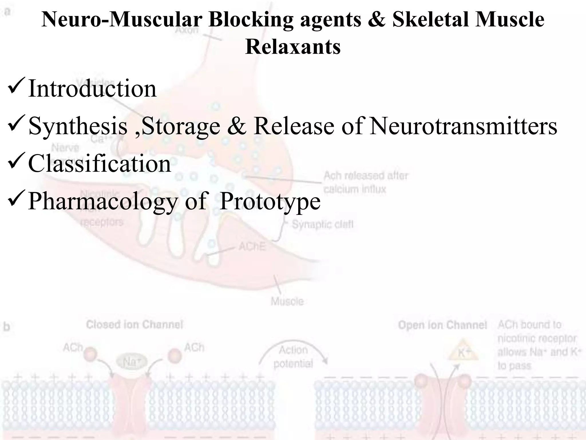 Neuromuscular blockers & skeletal muscle relaxants | PPTX