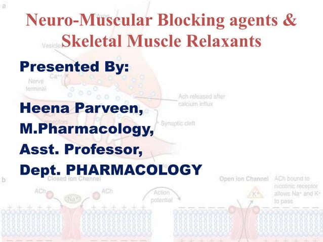Neuromuscular blockers & skeletal muscle relaxants | PPTX