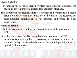 Neuromuscular blockers & skeletal muscle relaxants | PPTX