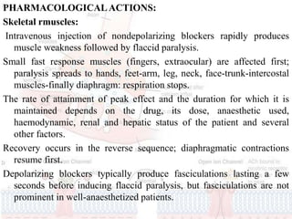 Neuromuscular blockers & skeletal muscle relaxants | PPTX