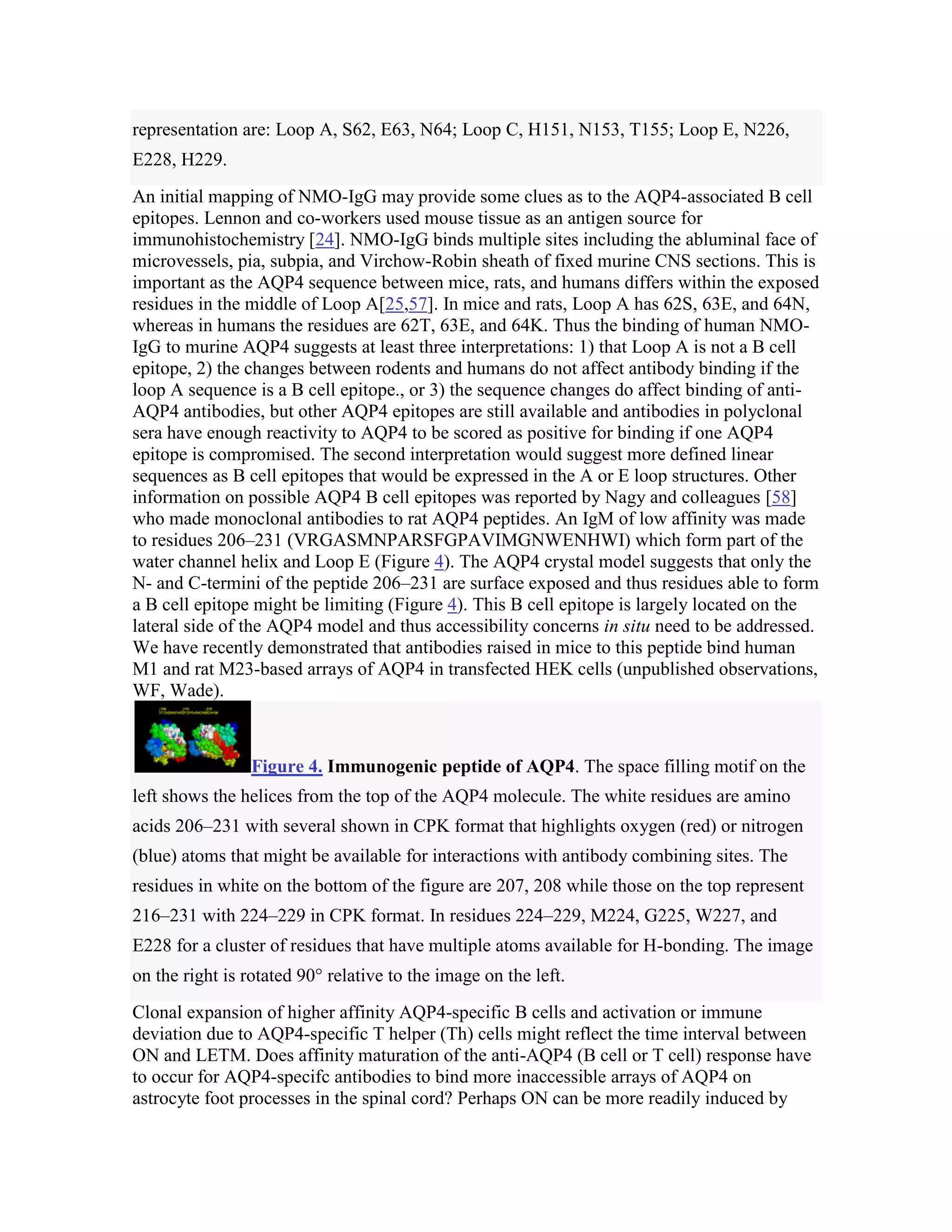 Neuromyelitis optica pathogenesis and aquaporin 4 | PDF | Brain and Nervous System Disorders ...