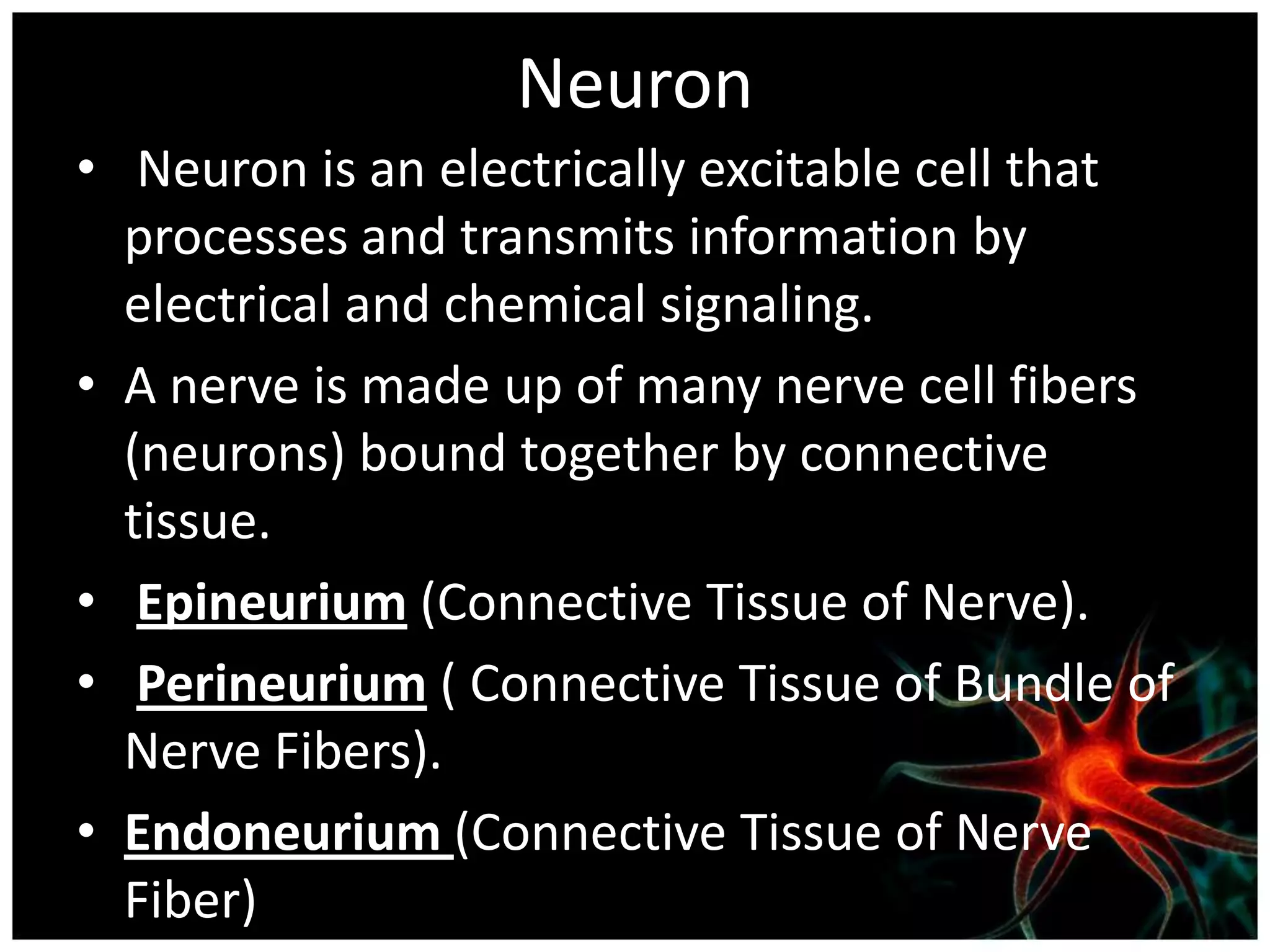 Neuron | PPTX