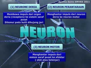 Neuron | PPTX