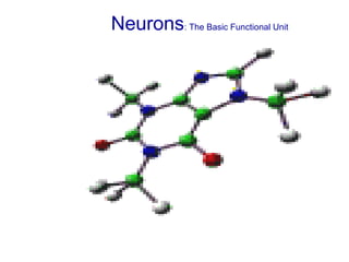 Neuron | PPT