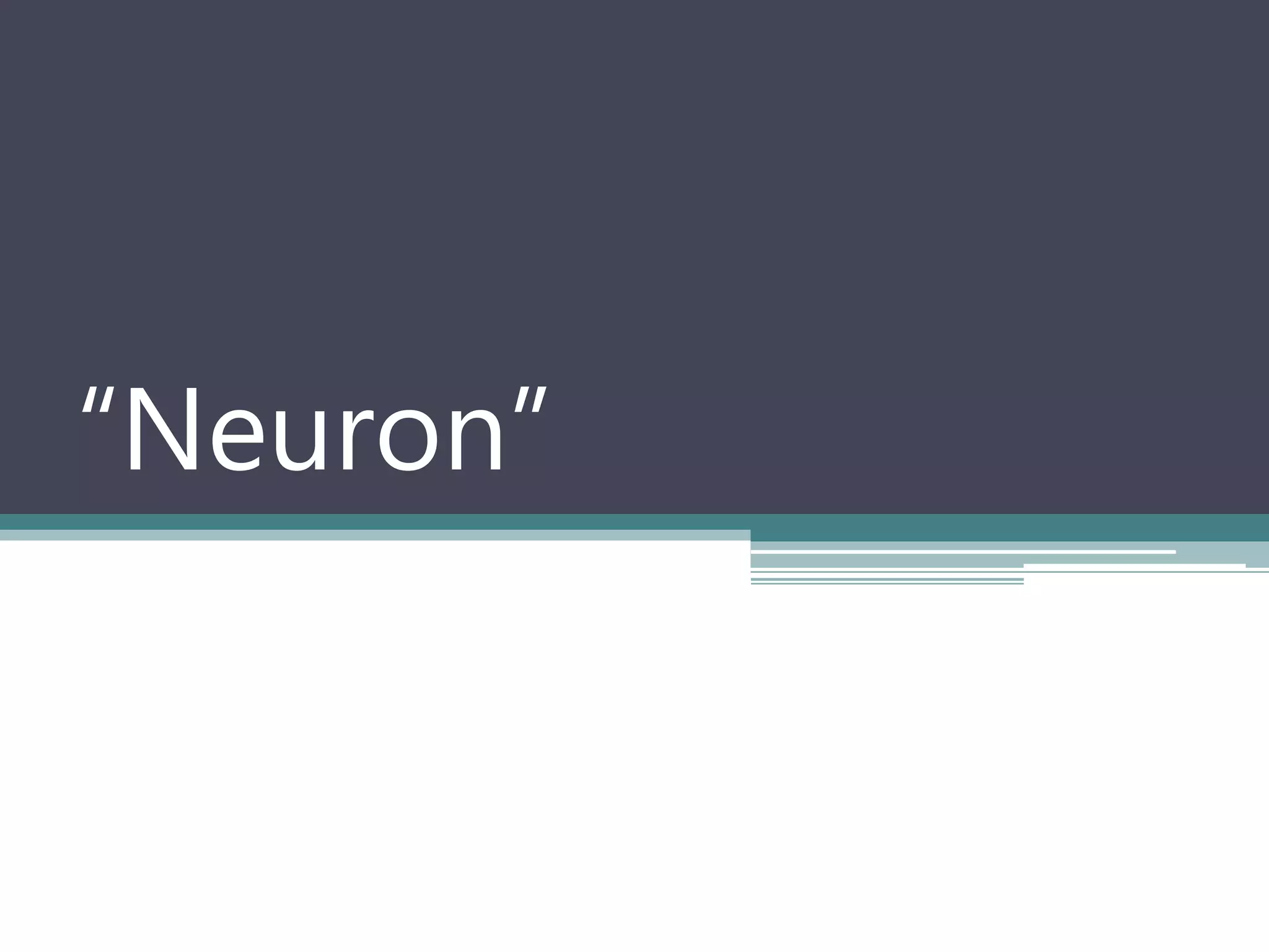 Neuron | PPT