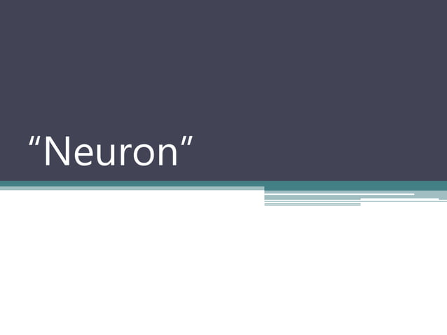 Neuron | PPT