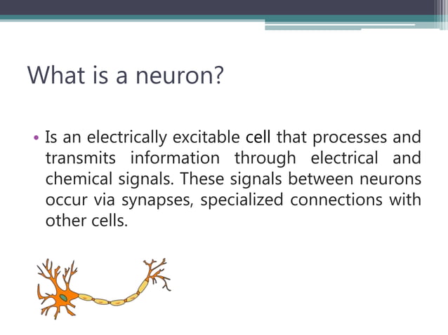 Neuron | PPT