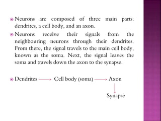 Neuron | PPT