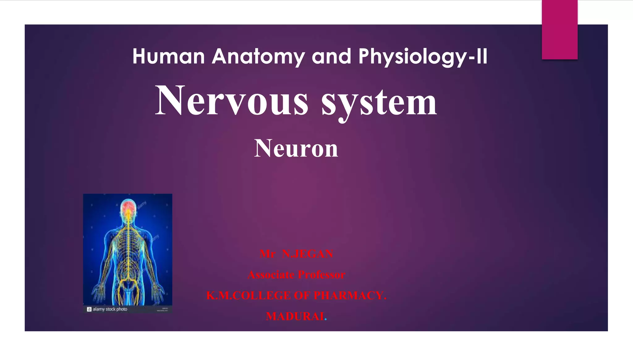 Neuron | PPTX