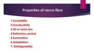 Neuron | PPTX