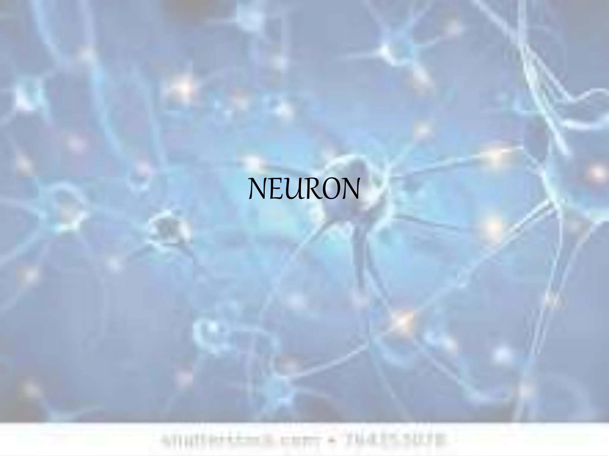 Neuron and its types.Prepared especially for BSc Nursing students | PDF ...