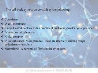 Neuron and its types.Prepared especially for BSc Nursing students | PDF ...