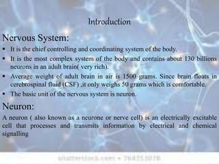 Neuron and its types.Prepared especially for BSc Nursing students | PDF | Brain and Nervous ...