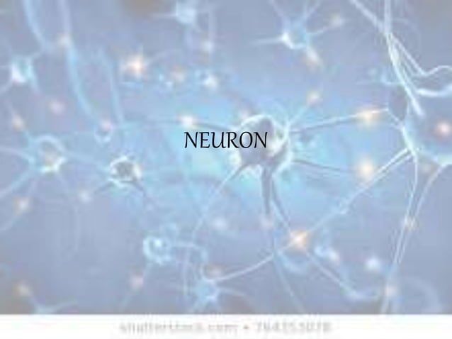 Neuron and its types.Prepared especially for BSc Nursing students | PPT