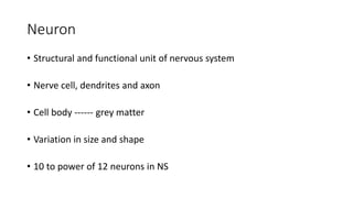 Neuron.pptx