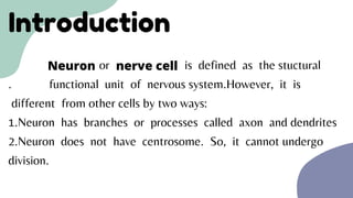 neuron .pdf | Brain and Nervous System Disorders | Diseases and Conditions
