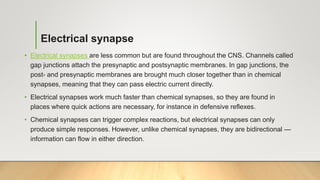 Neuron and its types of the classification | PPTX
