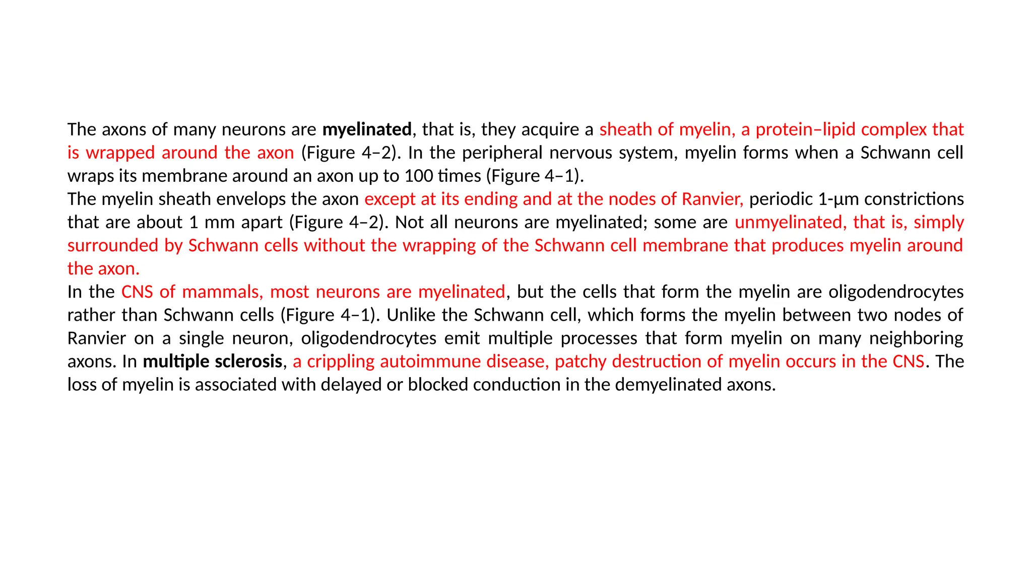 Details structure of Neuron,Zoology.pptx