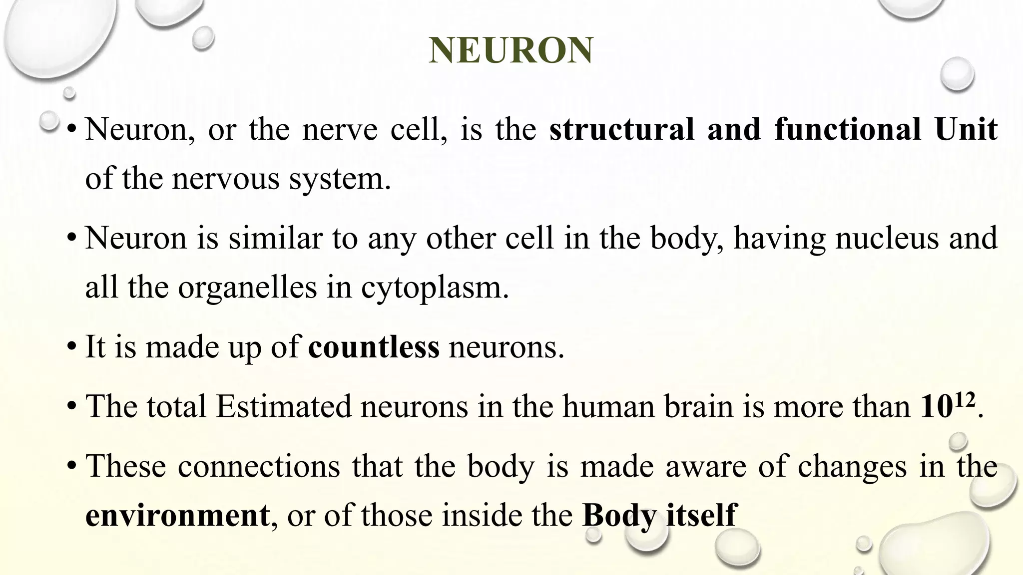 Neuron structure and functions by Dr. Pandian M, Dept of Physiology ...