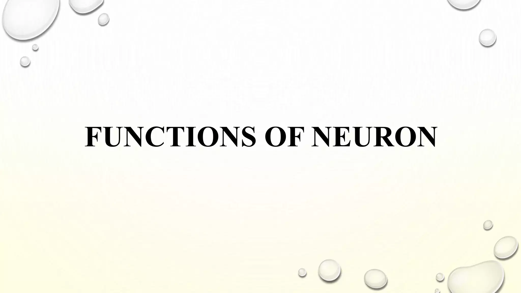 Neuron structure and functions by Dr. Pandian M, Dept of Physiology ...