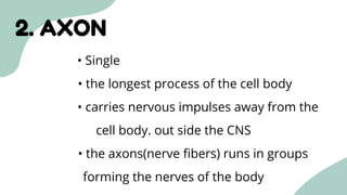 Nervous system neuron by rahul | PPT
