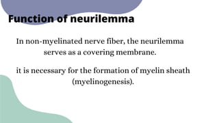 Nervous system neuron by rahul | PPT