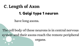 Nervous system neuron by rahul | PPT