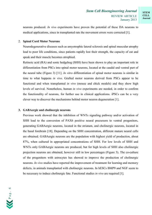 Neuronal and glial differentiation of human pluripotent stem cells | PDF | Brain and Nervous ...