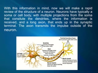 Neuronal cell tumors | PPTX
