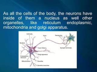 Neuronal cell tumors | PPTX