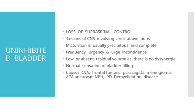 Pathways for Neuronal Control of Bladder.pptx | Death, Injury, or ...