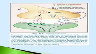 co transmission | PPTX