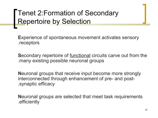 Neuronal group selection theory | PPT