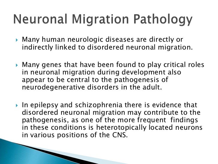 Neuronal Migration