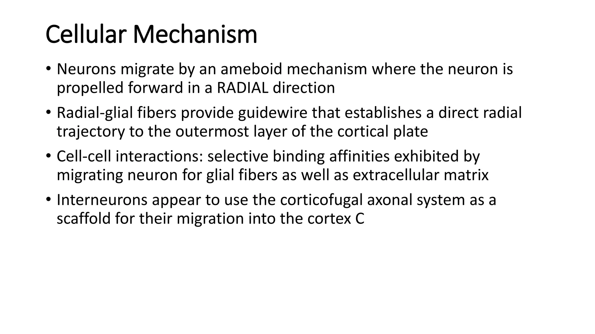Neuronal Migration Disorder 2 Pptx