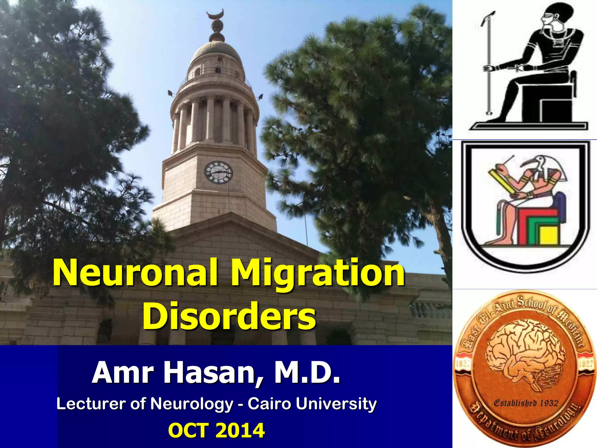 Neuronal migration disorders | PDF | Brain and Nervous System Disorders ...