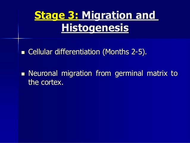 Neuronal migration disorders