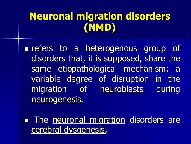 Neuronal migration disorders
