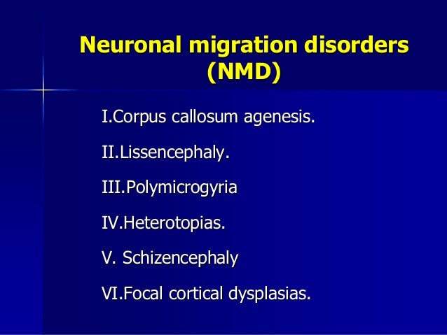 Neuronal migration disorders