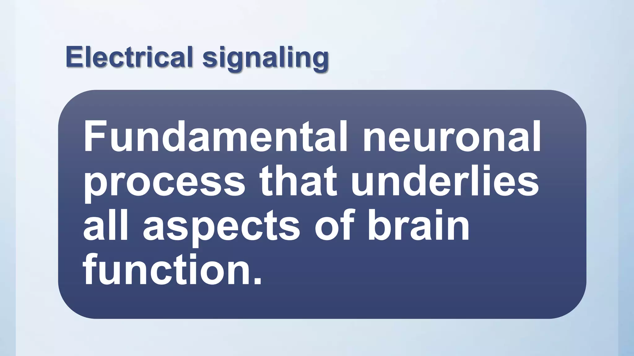 Neuronal signaling | PPSX